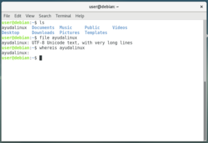 Comandos fundamentales de Debian