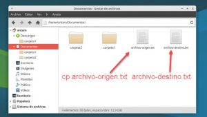 Cómo mover, renombrar y copiar archivos en Linux 🥇 PASO A PASO