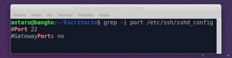 Configurar el puerto SSH en Linux 【 PASO A PASO 】 🥇